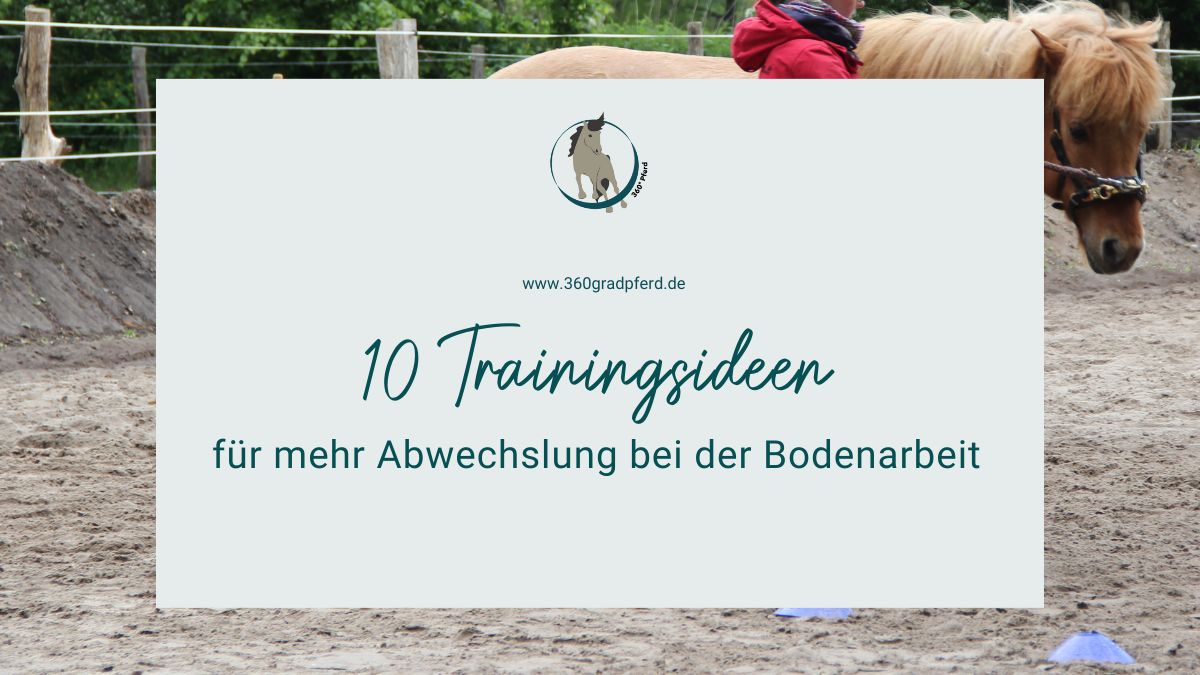 10 Übungsideen für mehr Abwechslung bei der Bodenarbeit