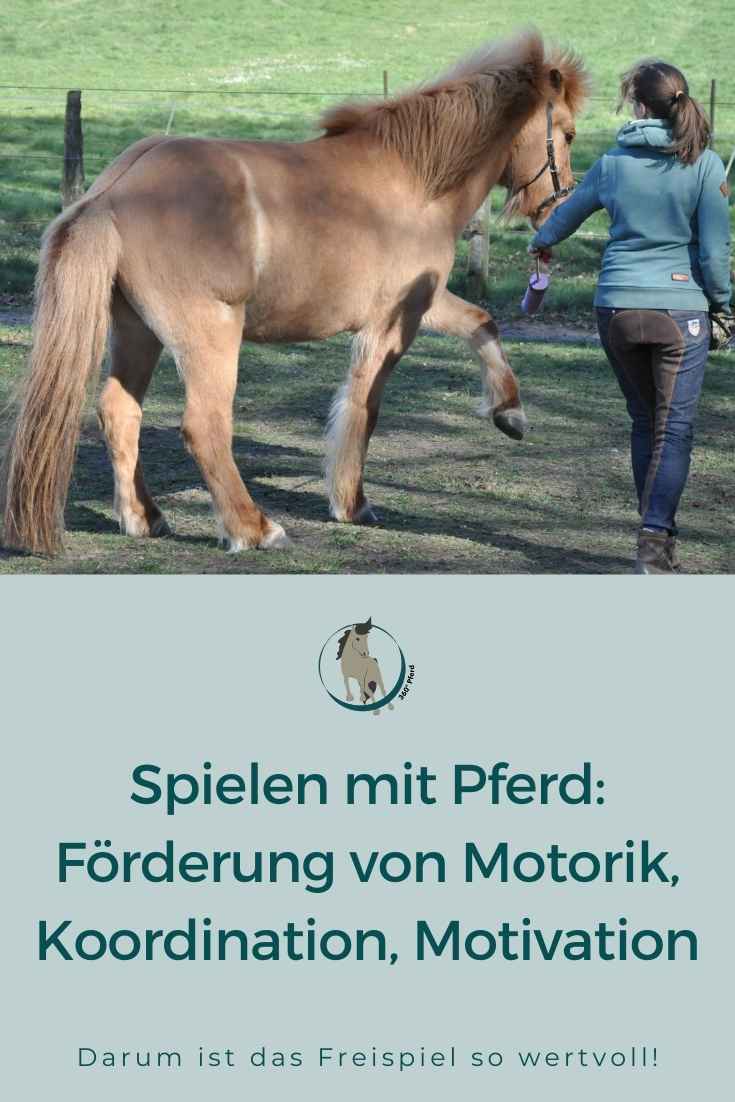 Spielen mit Pferd: Förderung von Motorik, Koordination, Motivation